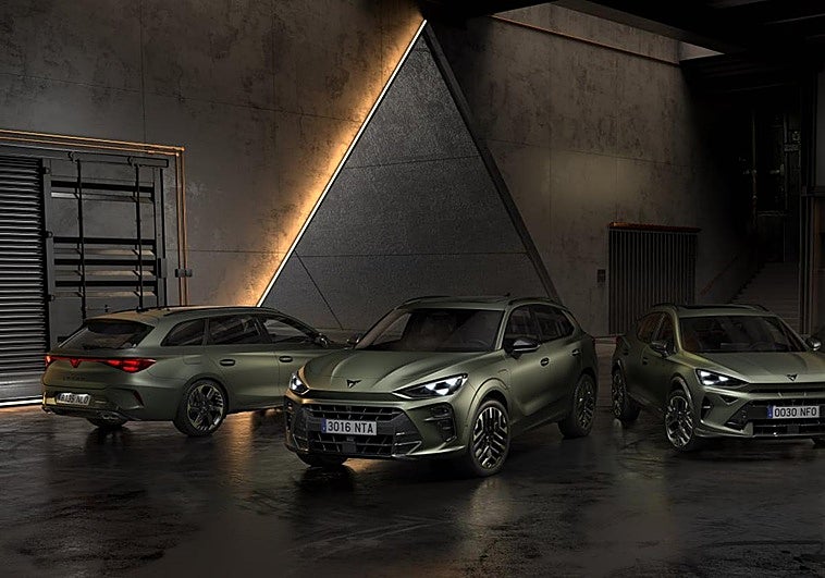 Cupra lanza una serie limitada más sostenible y de diseños únicos | El Diario Vasco